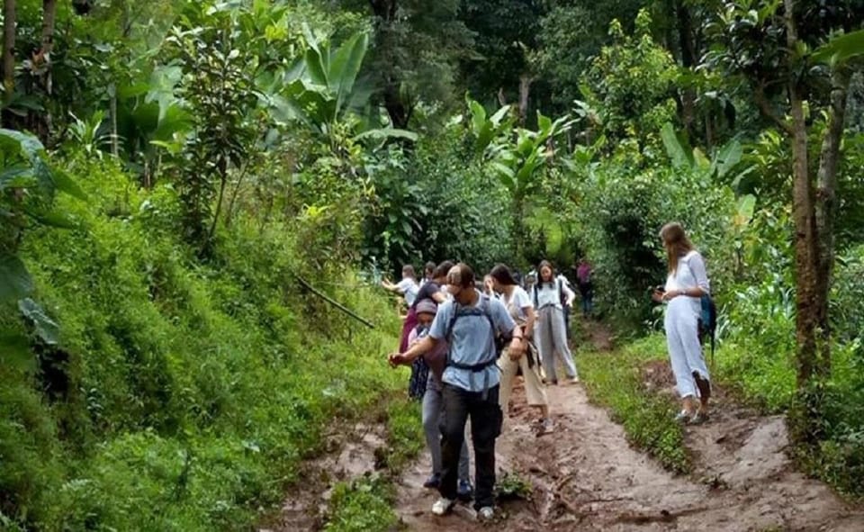 Materuni Village and Waterfall Day Tour | GetYourGuide