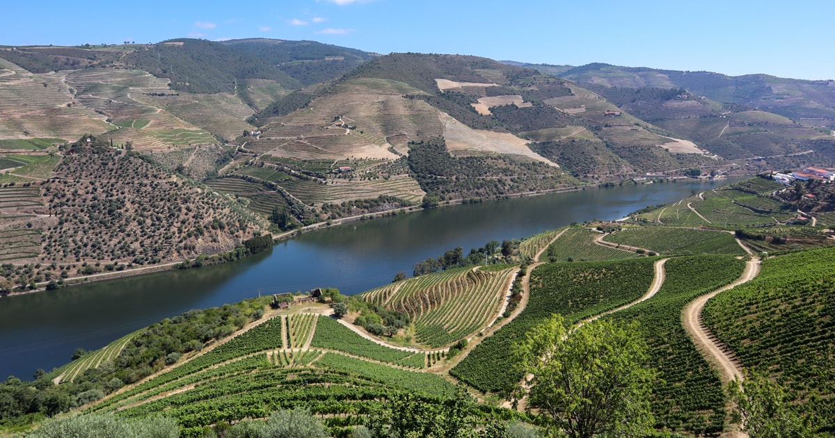 Valle del Douro: tour della valle del Douro con 3 cantine | GetYourGuide