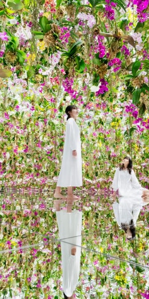 teamLab Planets TOKYO: Digital Art Museum Entrance Ticket | GetYourGuide