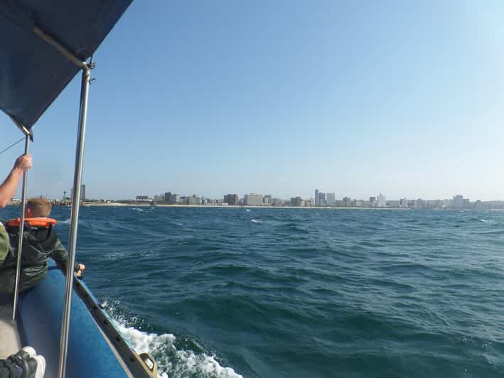 Durban: 1-Hour Boat Cruise from Wilson's Wharf | GetYourGuide
