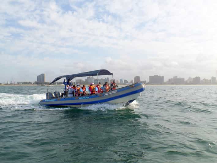 Durban: 1-Hour Boat Cruise from Wilson's Wharf | GetYourGuide
