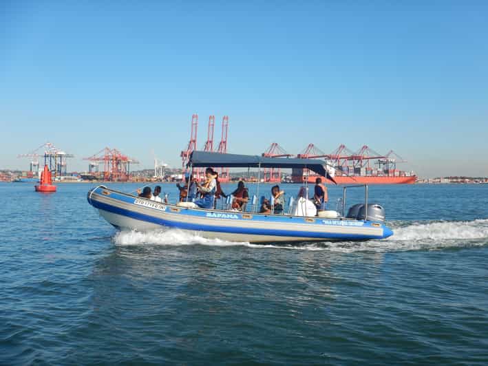 Durban: 1-Hour Boat Cruise from Wilson's Wharf | GetYourGuide