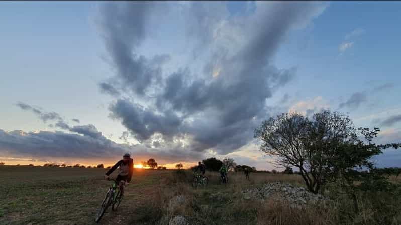Pulo di Altamura: tour de 3 horas en bicicleta o bicicleta eléctrica ...