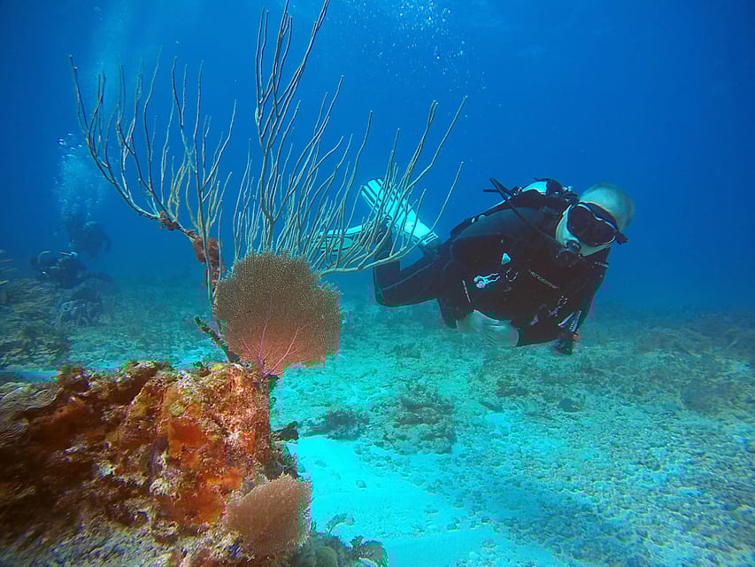 Cancun: Scuba Diving for Certified Divers at 3 Locations | GetYourGuide