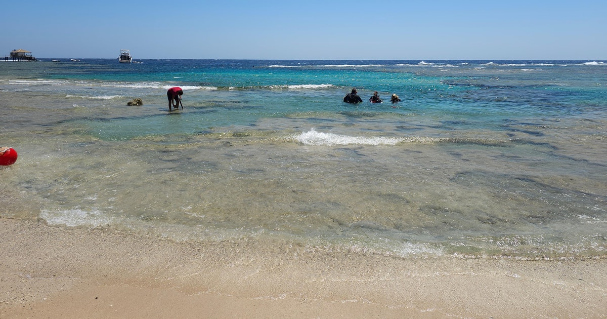 El Quseir: Red Sea Diving - Reefs, Caves & Marine Wildlife | GetYourGuide