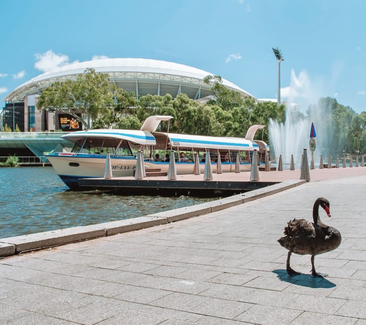 Adelaide: River Torrens Popeye Devonshire Tea Cruise | GetYourGuide