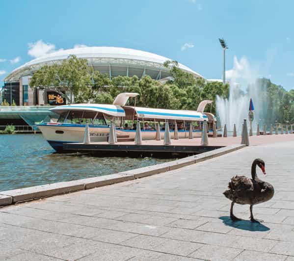Adelaide: River Torrens Popeye Devonshire Tea Cruise | GetYourGuide