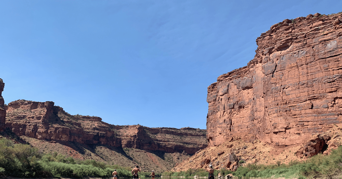Moab: Colorado River 3,5-stündige Stand-Up Paddleboard Tour | GetYourGuide