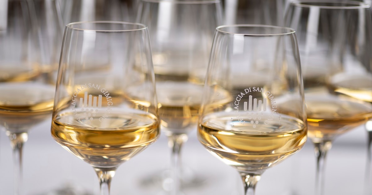 San Gimignano: Vernaccia Wine Tasting Experience | GetYourGuide