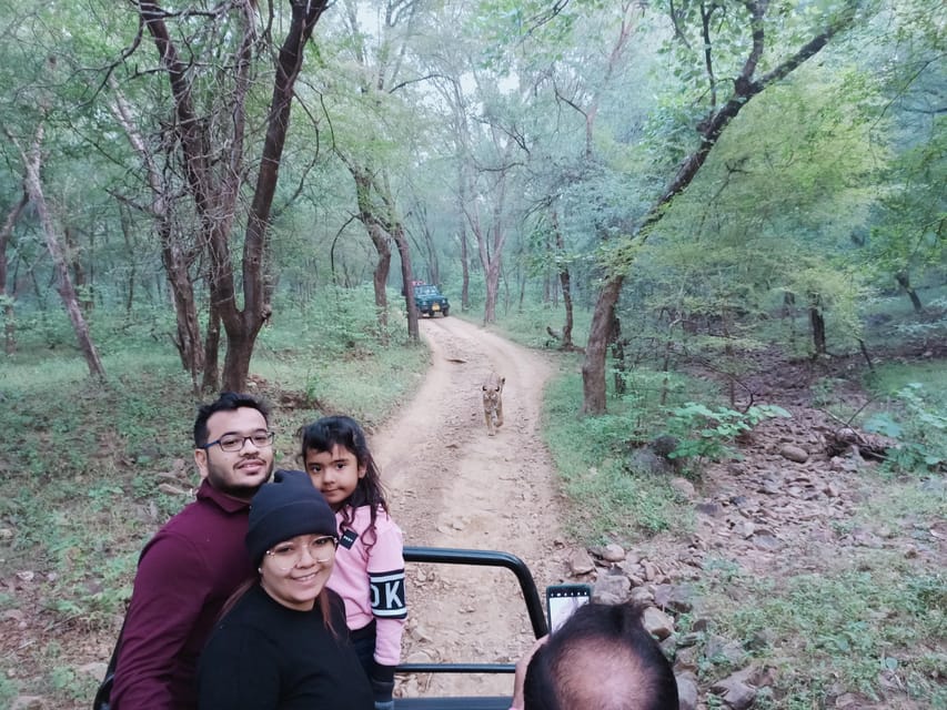 Gypsy Safari Ranthambore (Tatkal kotası)) | GetYourGuide