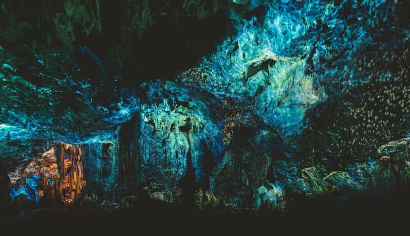 Gibraltar: Upper Rock Nature Reserve Entry Ticket | GetYourGuide