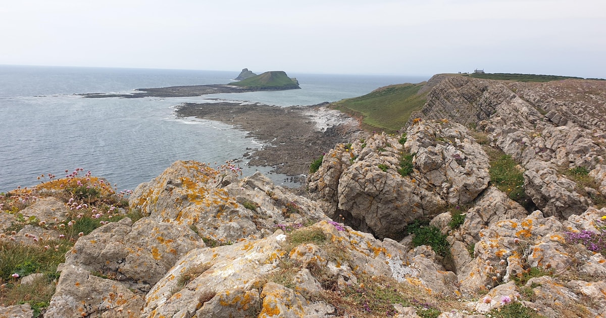 Från Cardiff: Mumbles och Gower Peninsular Tour | GetYourGuide