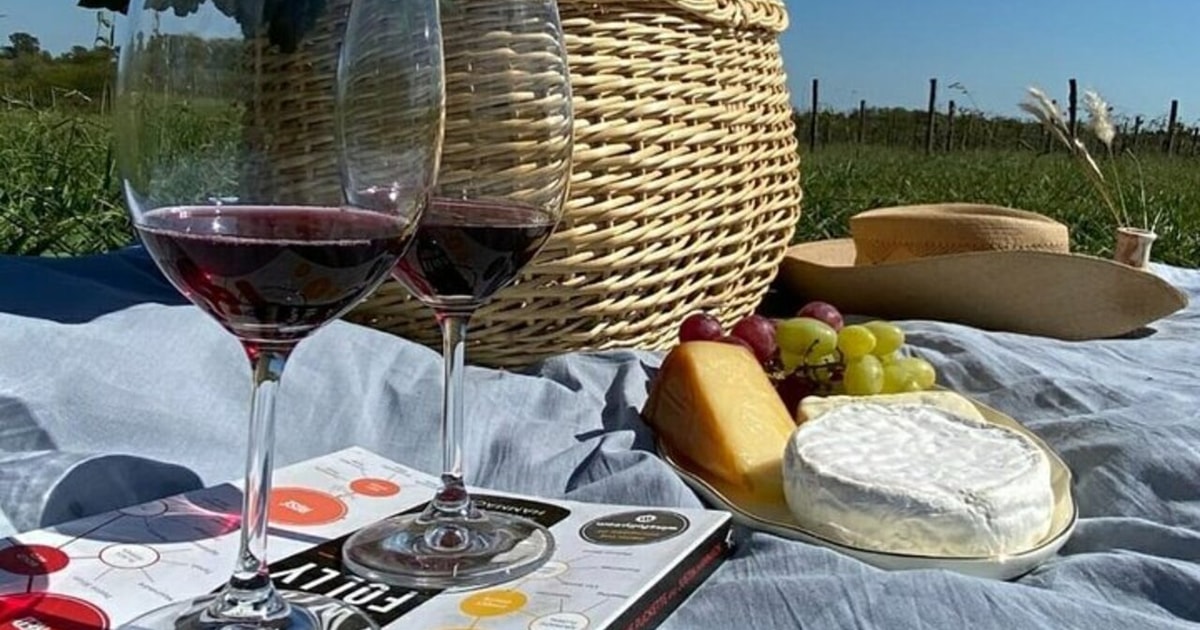 Buenos Aires: Wine Tasting and Lunch at Bodega Gamboa | GetYourGuide