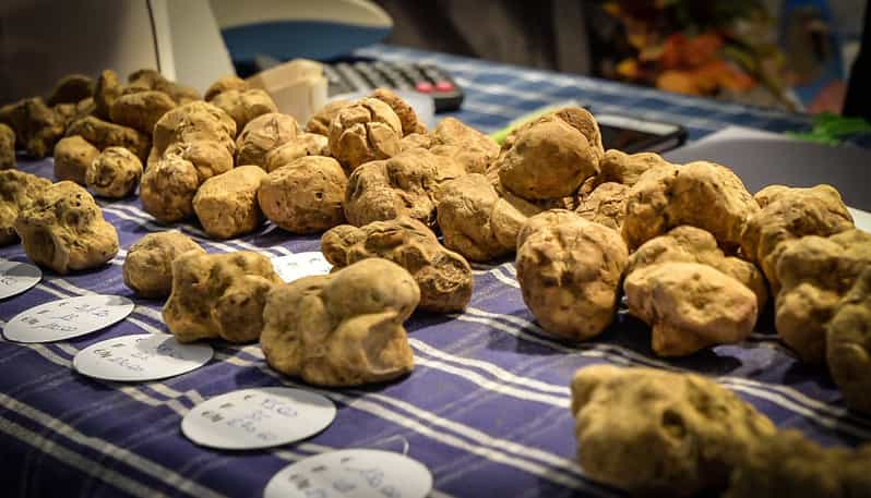 Alba Truffle Fair: Skip-the-Line Entrance and Private Tour | GetYourGuide