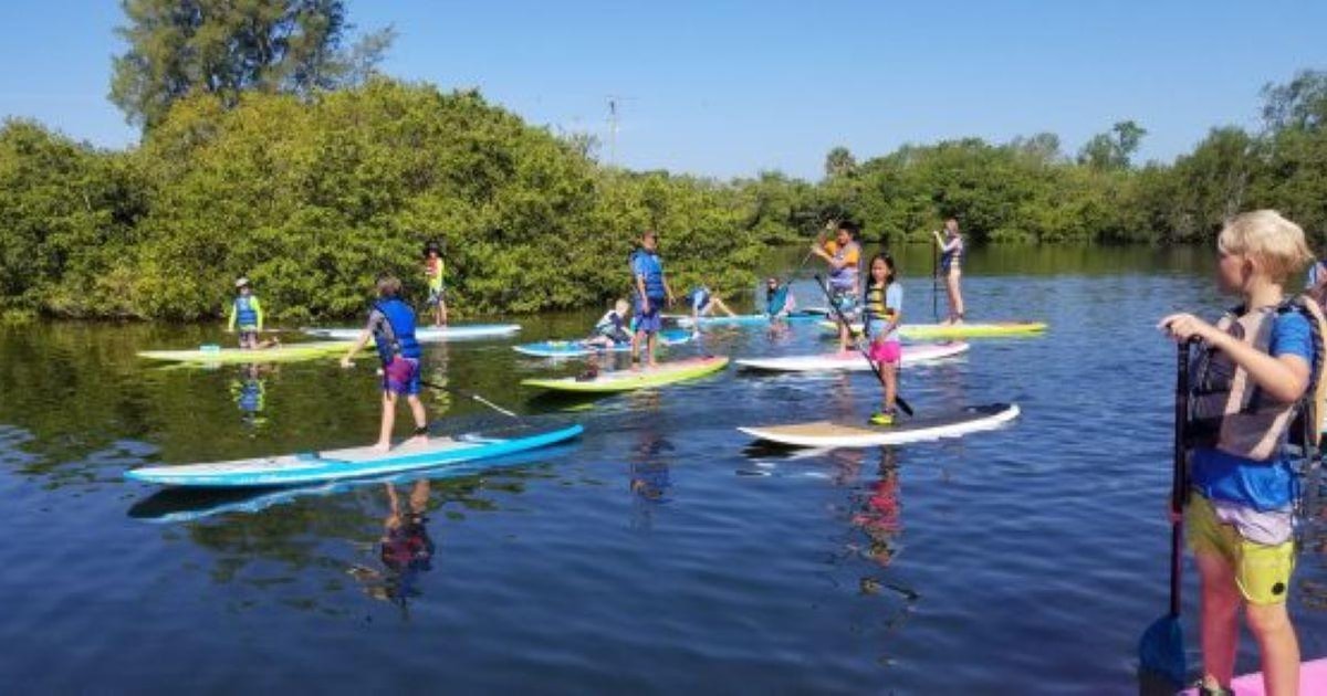 Siesta Key: Mangrove Kayak or Paddleboard Tour | GetYourGuide