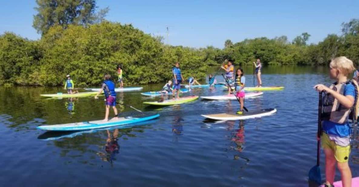 Siesta Key: Mangrove Kayak or Paddleboard Tour | GetYourGuide