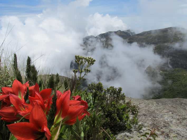 From Rio de Janeiro: Full-Day Trek to Pedra do Sino | GetYourGuide