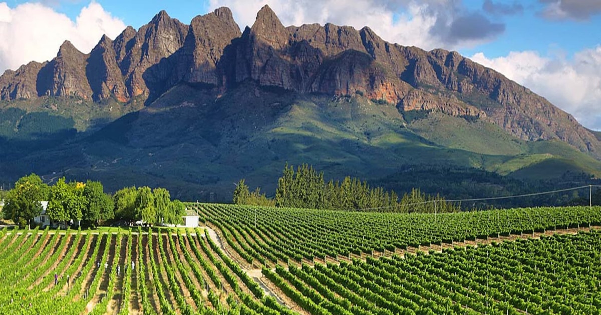 Von Kapstadt aus: Ganztägige Cape Winelands Tour | GetYourGuide