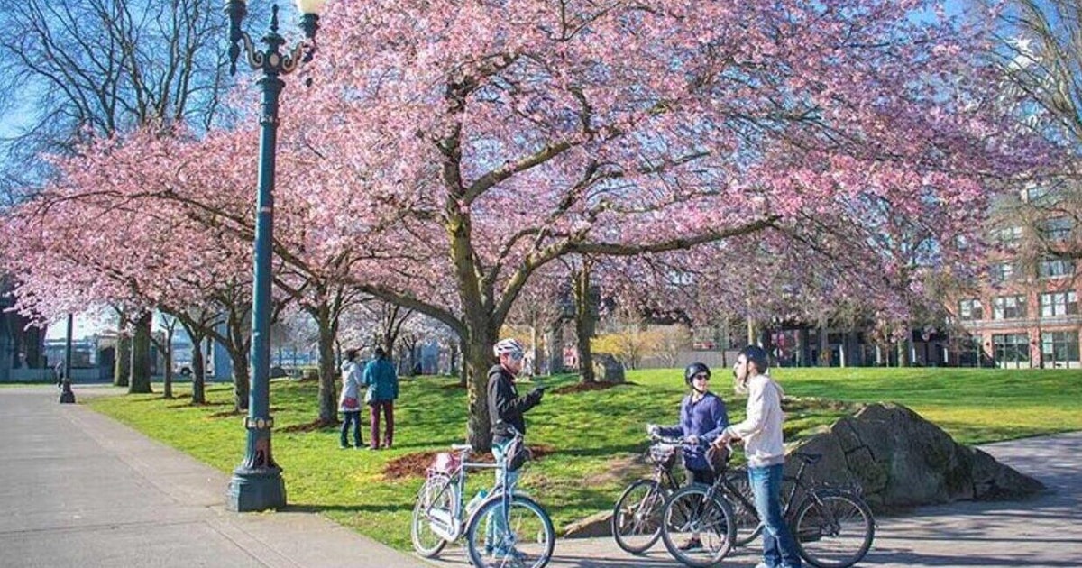 Essential Portland: 2-Hour Guided Bike Tour | GetYourGuide