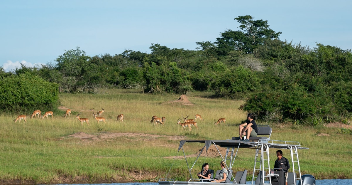 Akagera National Park: Game Drive Day-Trip with Lunch | GetYourGuide