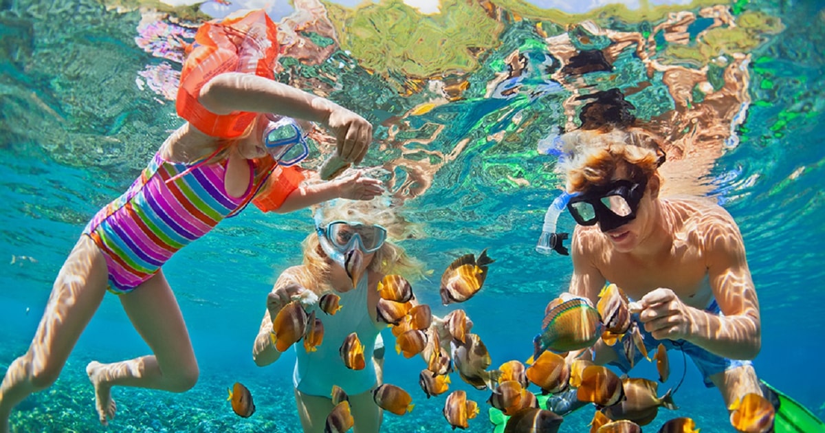 Oahu: Excursión circular guiada de 16 puntos con snorkel y Dole ...