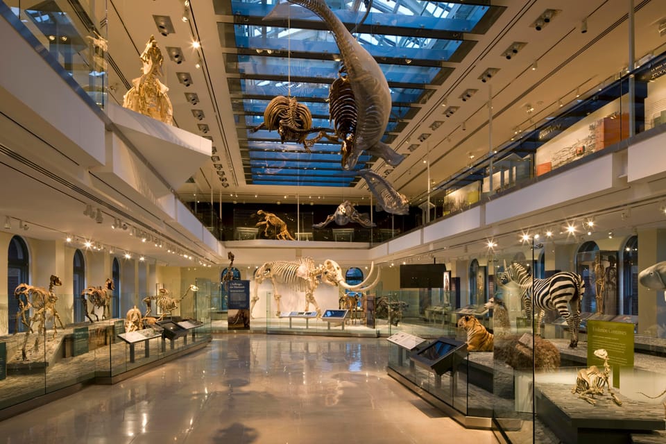 Los Angeles: Natural History Museum of LA Entry Ticket | GetYourGuide