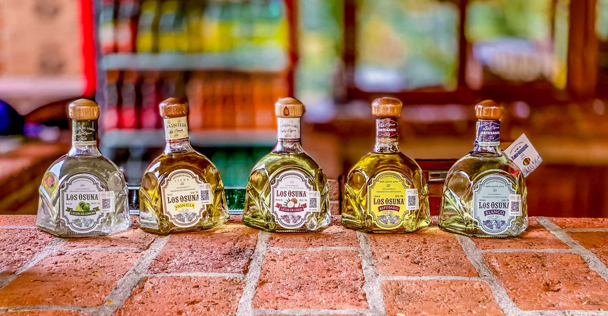Mazatlán, Tequila Factory & Country Sightseeing - SuiteTrails
