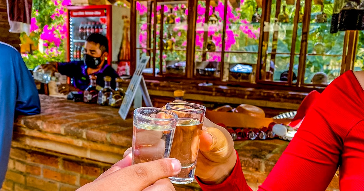 Mazatlán: Tequila Factory & Country Sightseeing | GetYourGuide