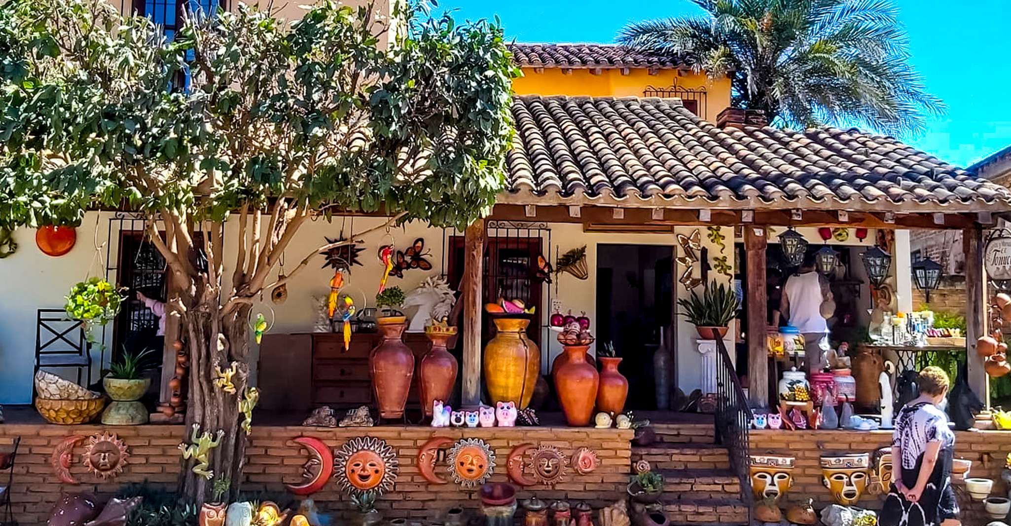 Mazatlán, Tequila Factory & Country Sightseeing - SuiteTrails