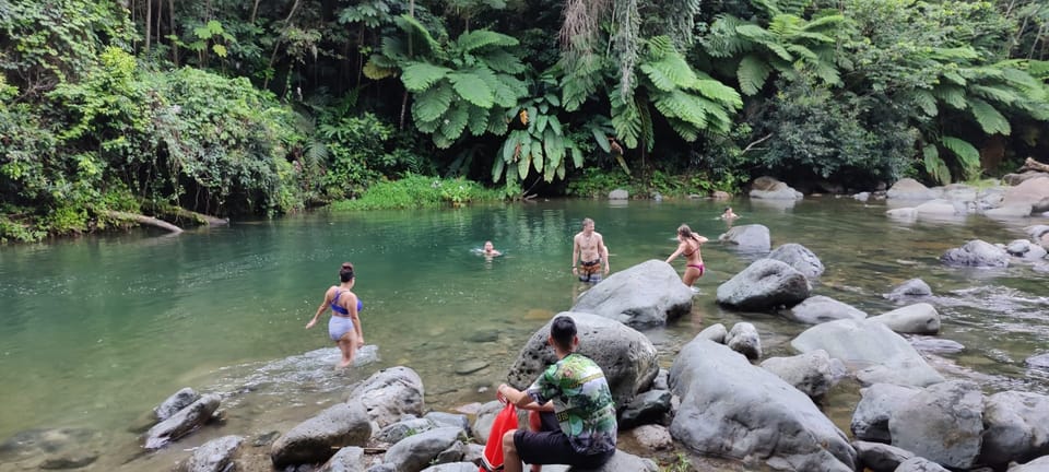 El Yunque Forest: Rainforest Nature Walk at Night Tour | GetYourGuide