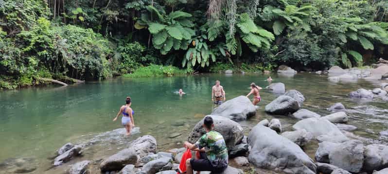 El Yunque Forest: Rainforest Nature Walk at Night Tour | GetYourGuide