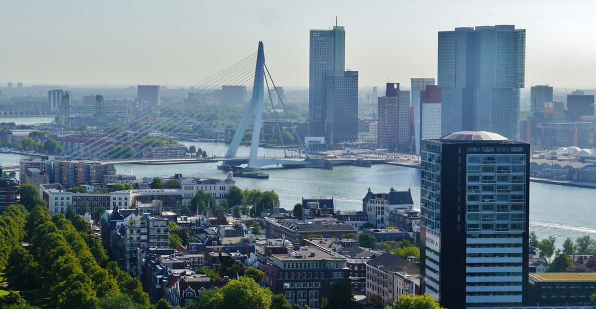 Rotterdam: Privé fietstour met gids | GetYourGuide