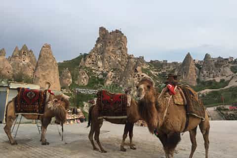 The BEST Things to Do in Ankara - Top Activities in 2024 | GetYourGuide