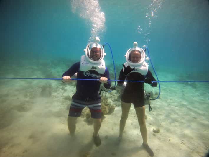 St Thomas: Dolphin Trek | GetYourGuide