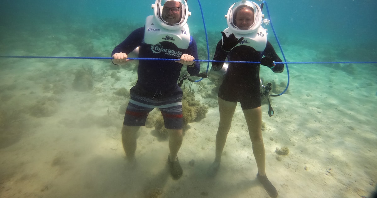 St Thomas: Dolphin Trek | GetYourGuide