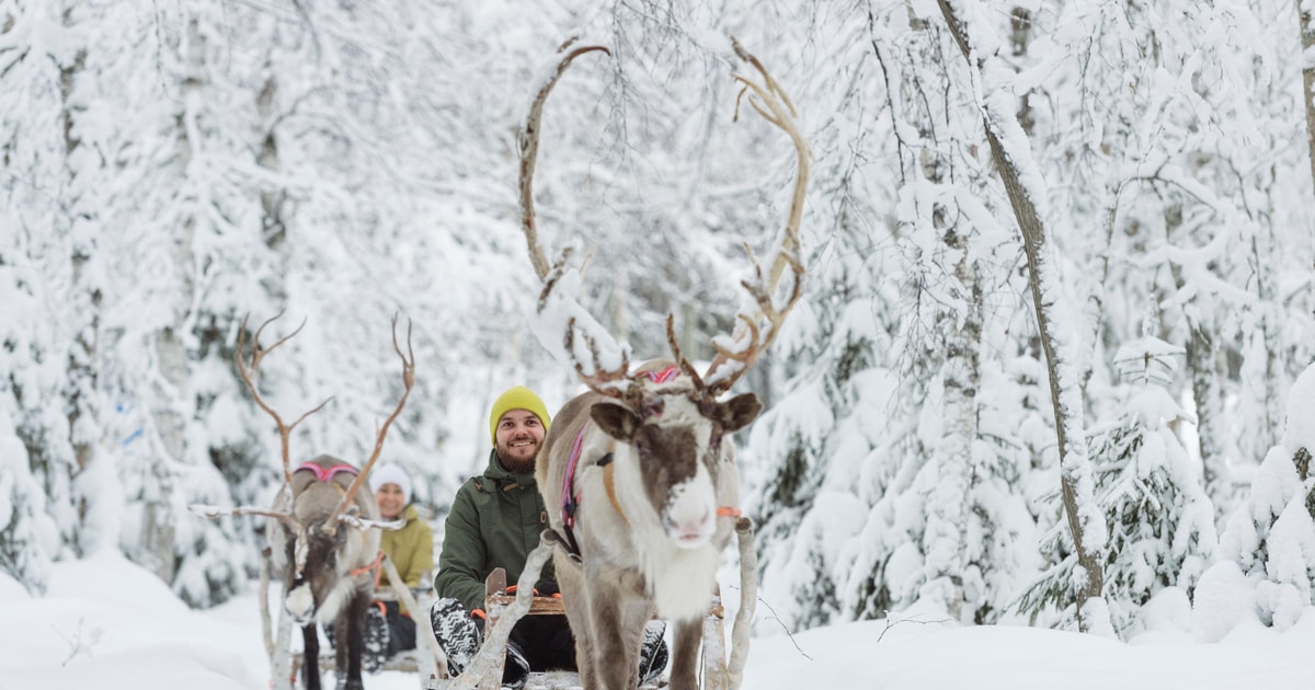 Levi: Winter Highlights Tour with Snowmobiling | GetYourGuide