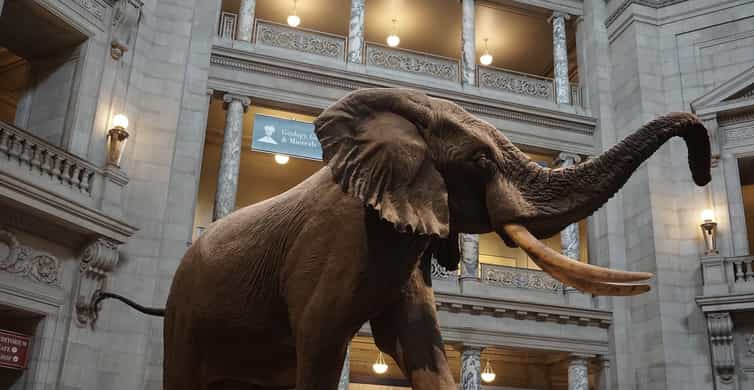 National Museum of American History, Washington, DC - Book Tickets ...