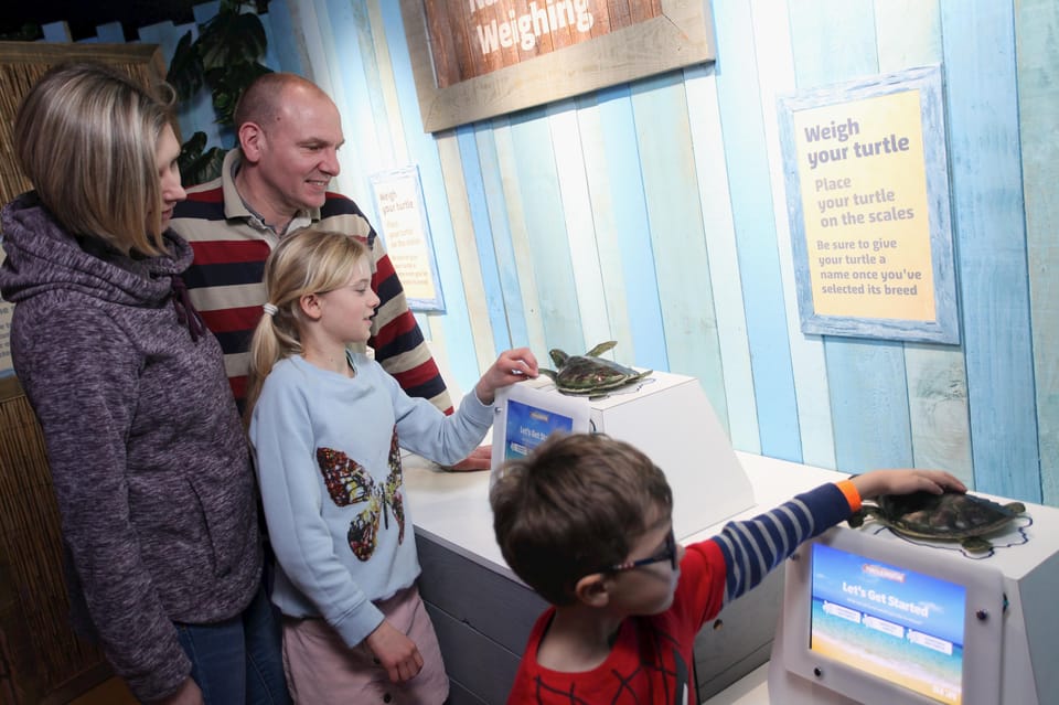 SEA LIFE Blackpool Entrance Ticket | GetYourGuide