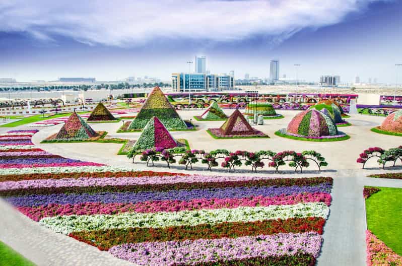 Dubai: Vierstündige Tour durch Flora und Fauna | GetYourGuide