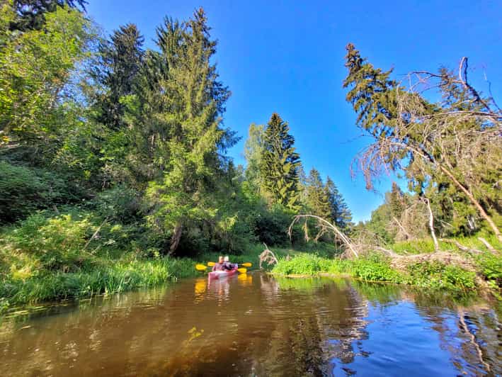 From Riga: Abava Valley Tour | GetYourGuide