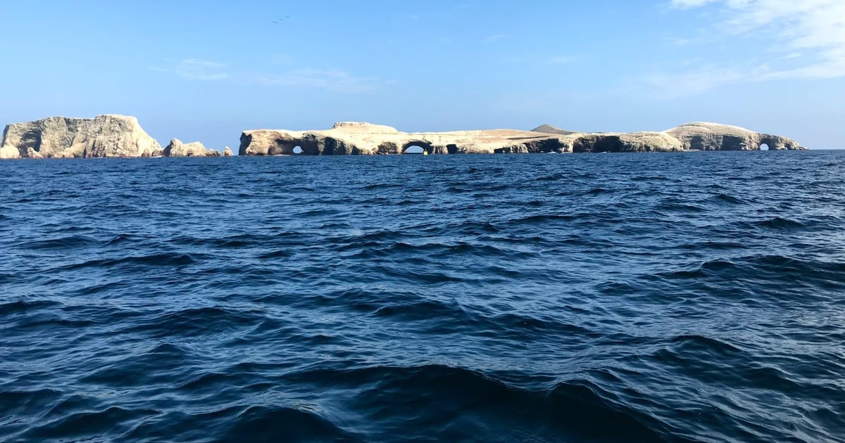 Ica: Ballestas Island & Paracas Reserve Private Tour | GetYourGuide