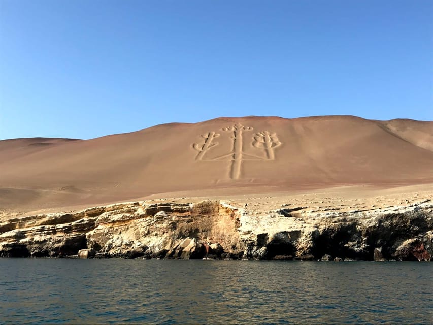 Ica: Excursión Privada a la Isla Ballestas y la Reserva de Paracas ...