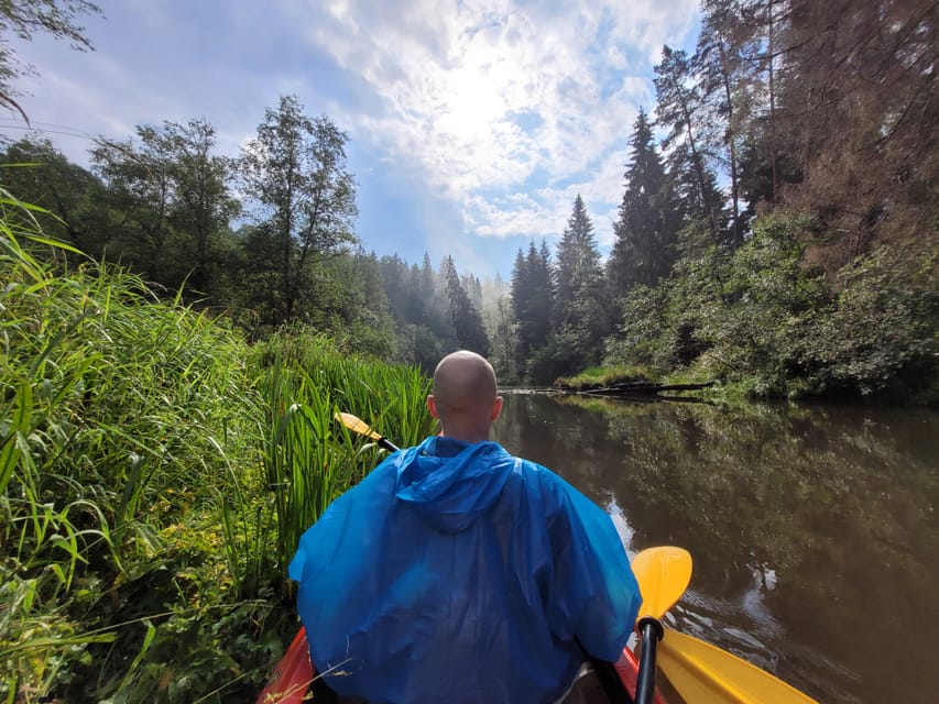 From Riga: Full-Day Scenic Gauja River Valley Kayaking Trip | GetYourGuide