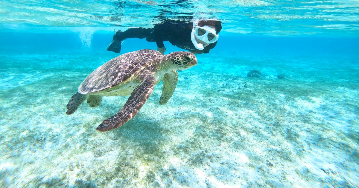 Miyako Island: Kayaking and Snorkeling Experience | GetYourGuide