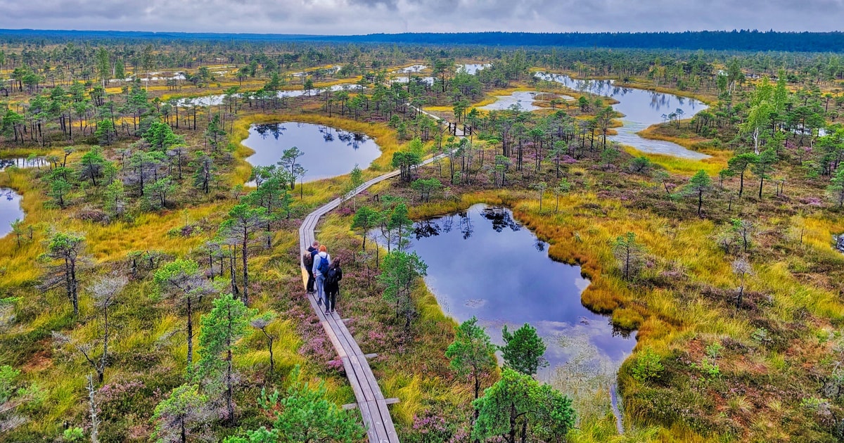 Riga: Det bästa av Kemeri nationalpark på en dag | GetYourGuide