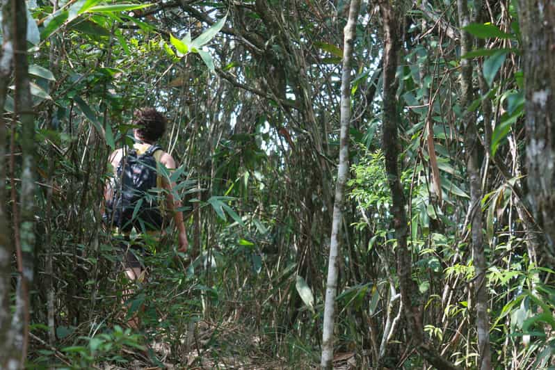 Rio de Janeiro: Wanderung zum Wasserfall der Seelen im Tijuca Wald ...