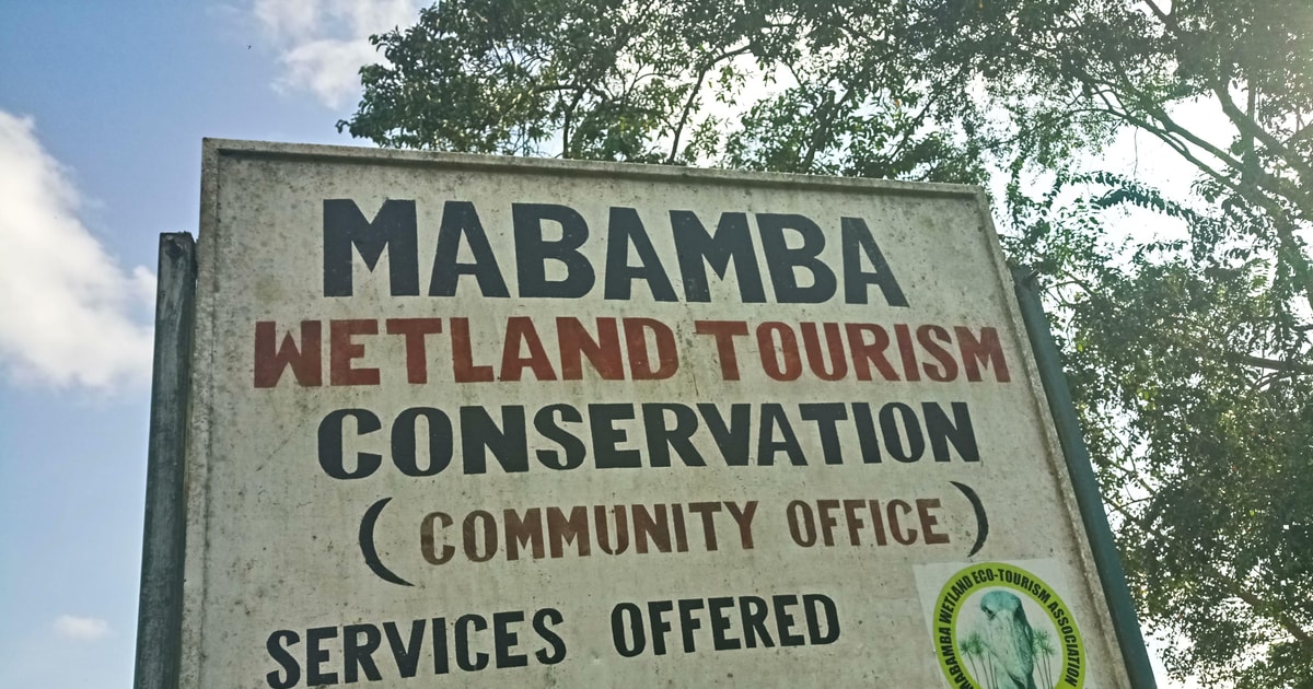 From Kampala: Mabamba Swamp Birding Half-Day Tour | GetYourGuide