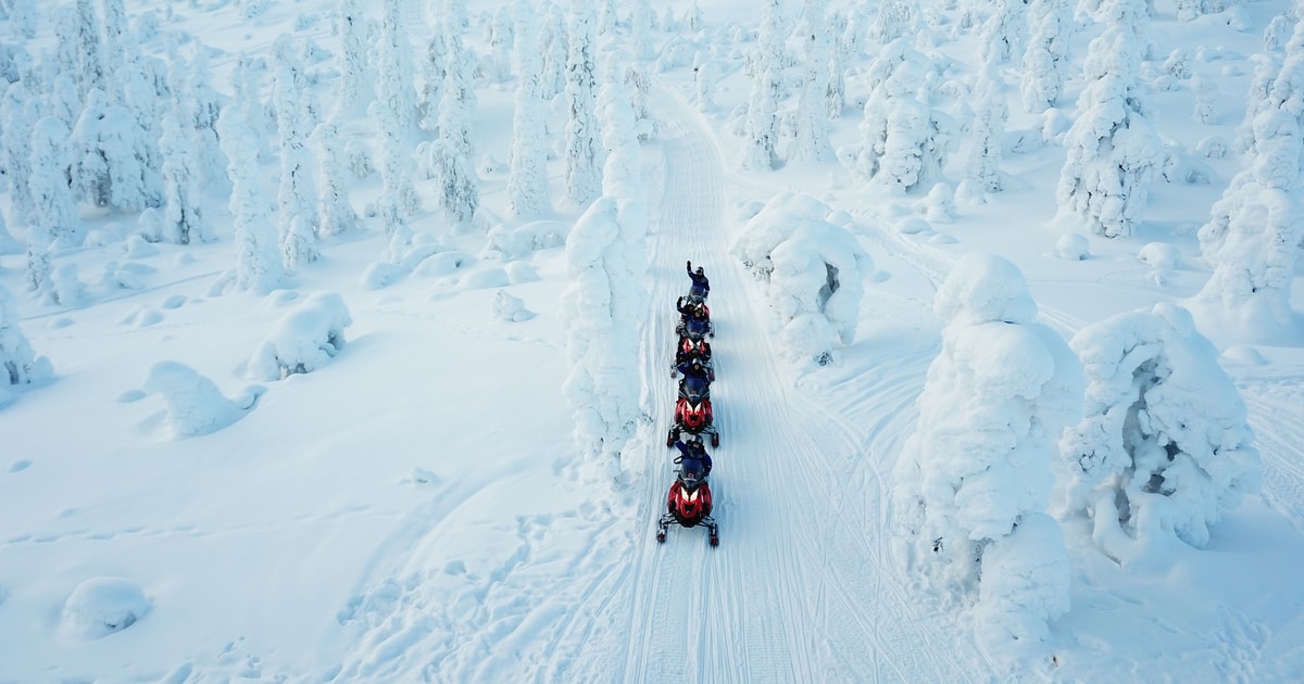 Levi: Easy Snowmobile Safari into the Nature | GetYourGuide