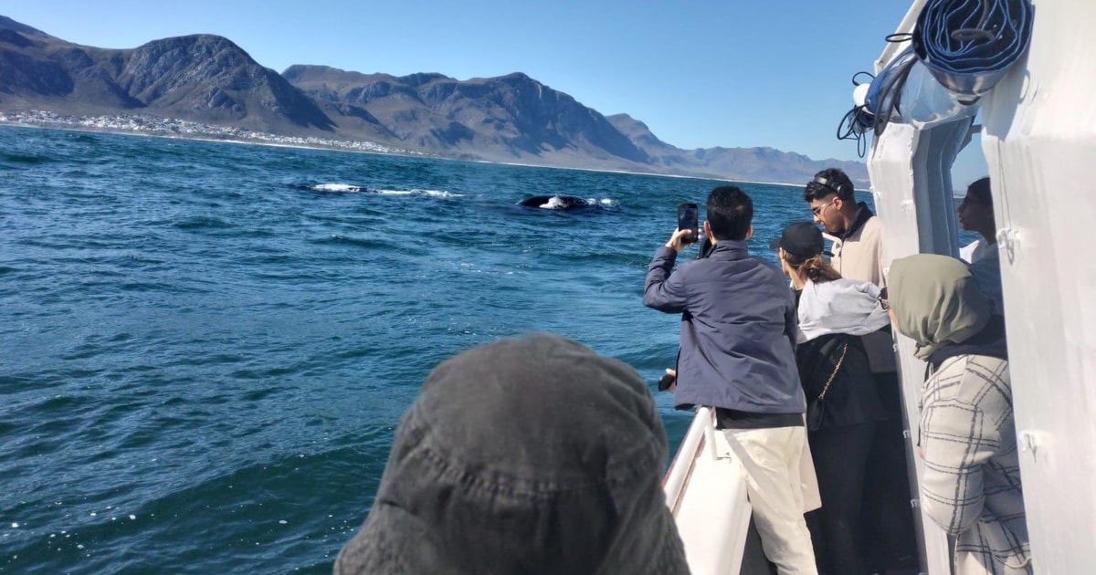 Private Tour to Hermanus | GetYourGuide