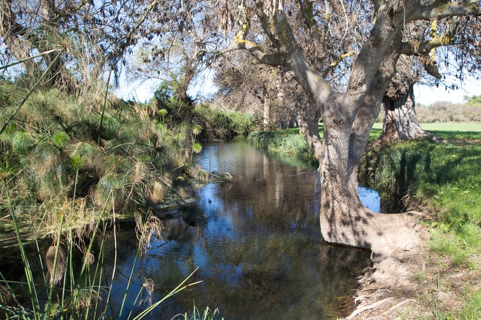 Syracuse: Ciane River Nature Reserve Guided Trek | GetYourGuide